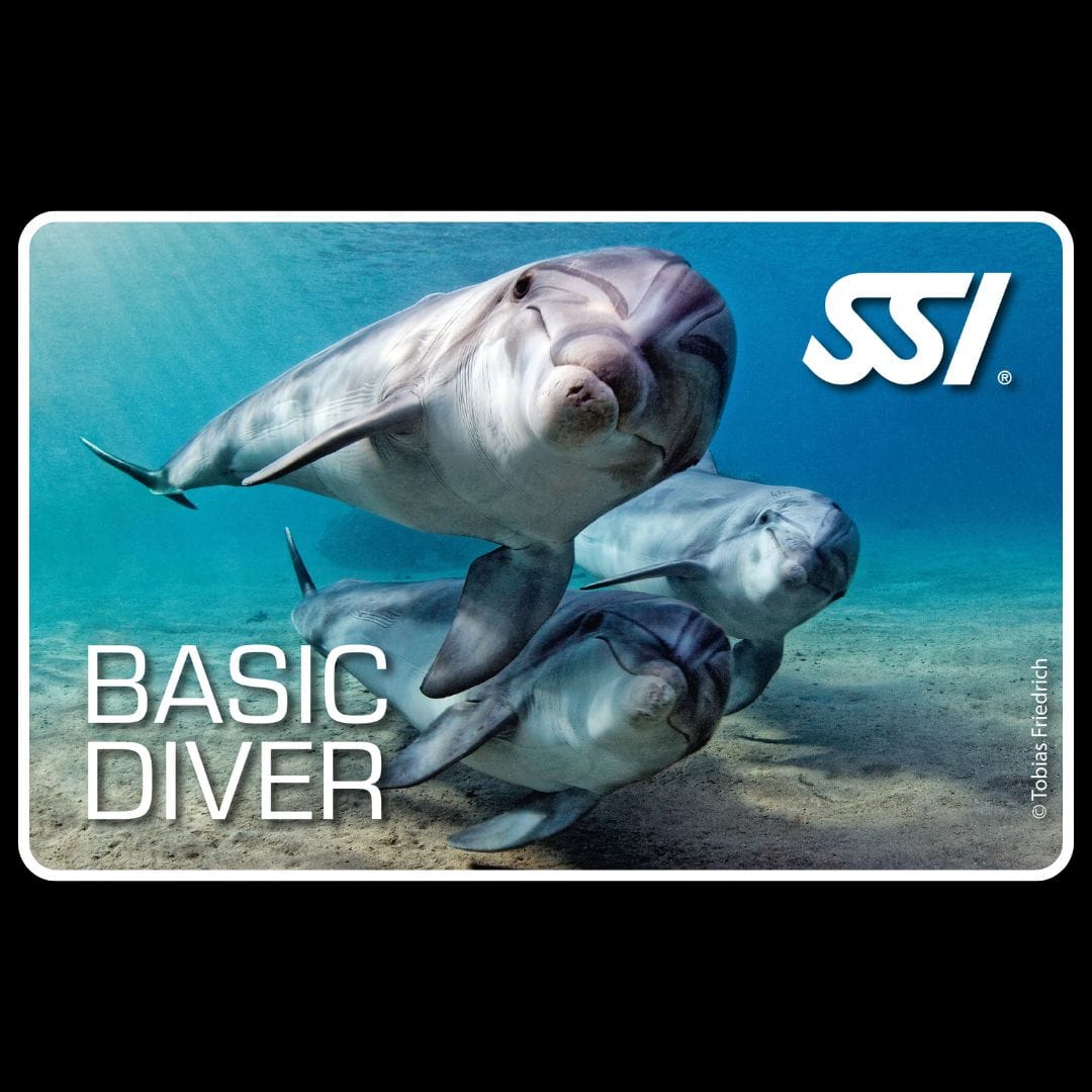 Basic Diver Course Package | Scuba diving courses and equipment from ...